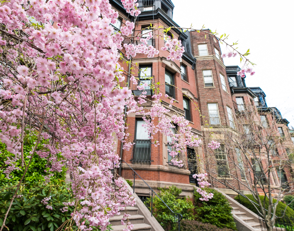 USA: balade à travers les quartiers emblématiques de Boston - MisterTravel